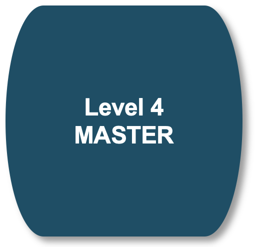 Future Foresight Organizational Certification - Global Innovation Management Institute - GIMI